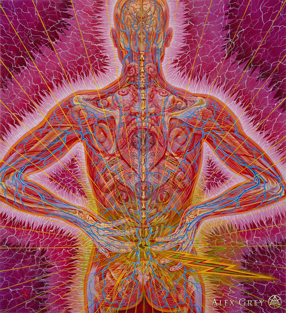 "Sankara" Ancient Word for "Knot" – Maka Healing Arts